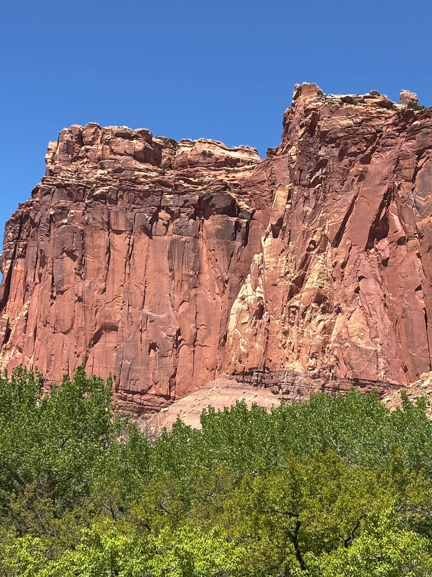 Utah Bound! - Carrie's Adventure